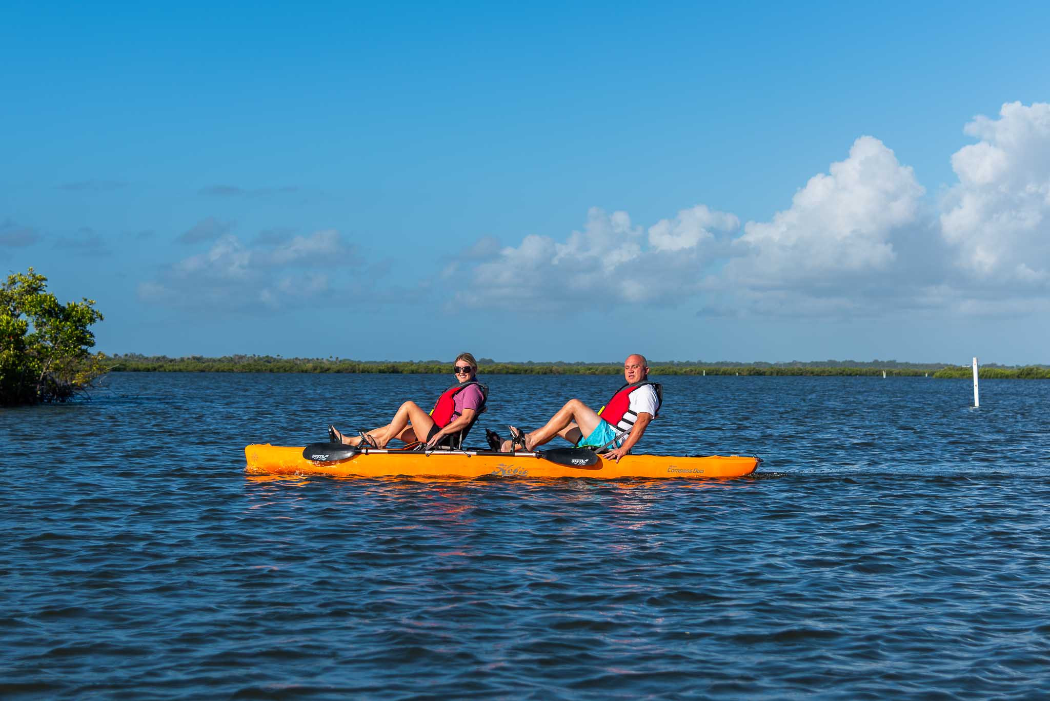 Discover Manatees & Dolphins on a Morning Kayak Tour | Viking EcoTours